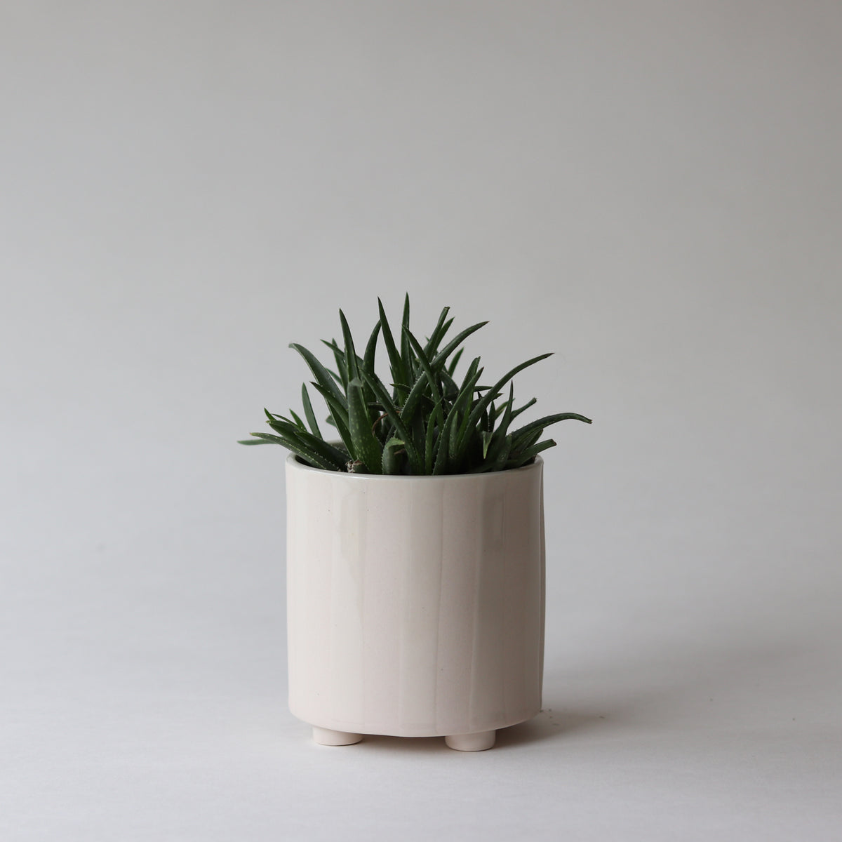 Products – Elizabeth Benotti Ceramics